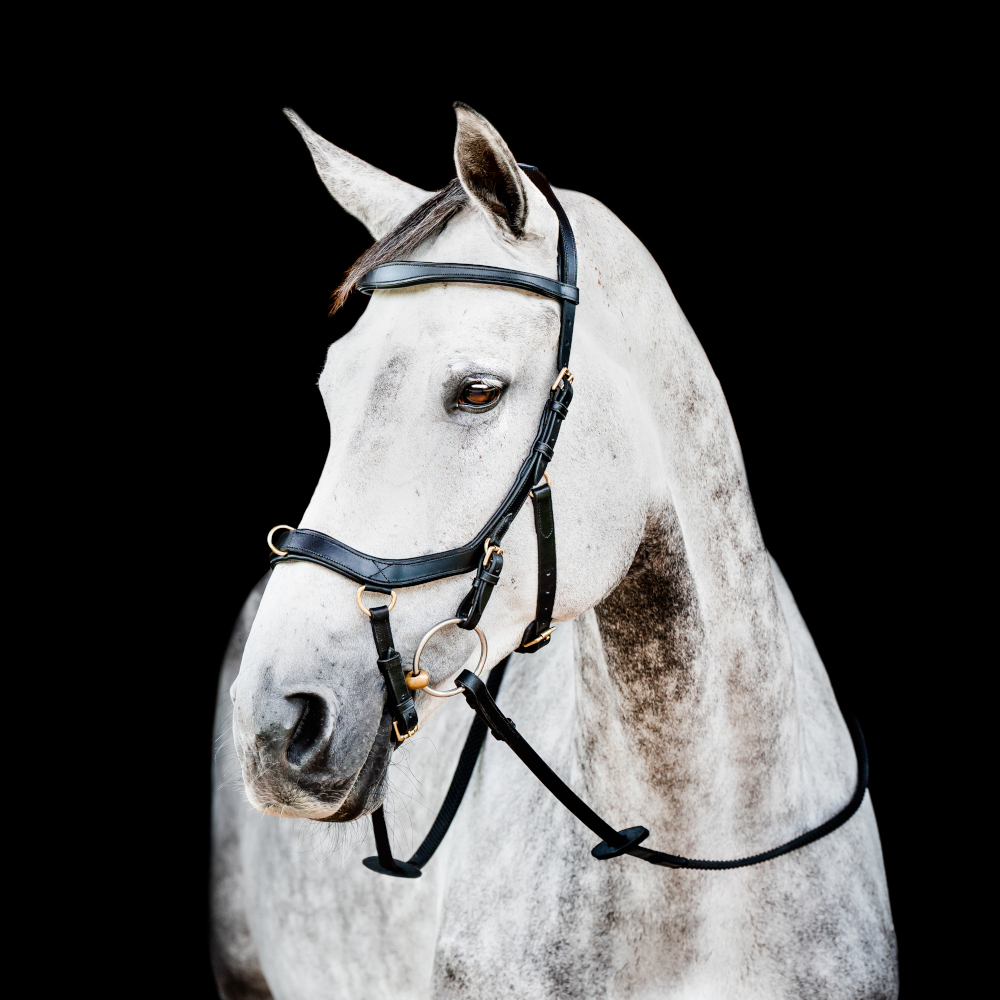 Horseware Micklem II Multi Bridle | HorSeven