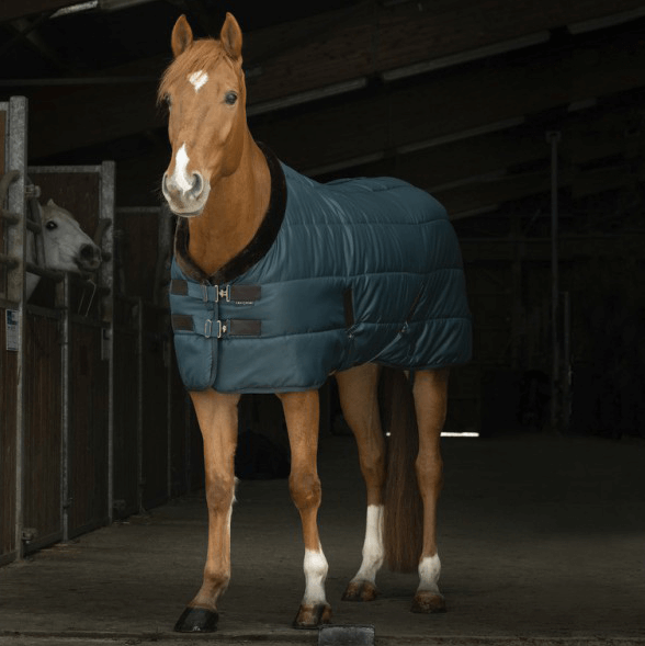 Equithème Teddy Stalldecke 200g | HorSeven