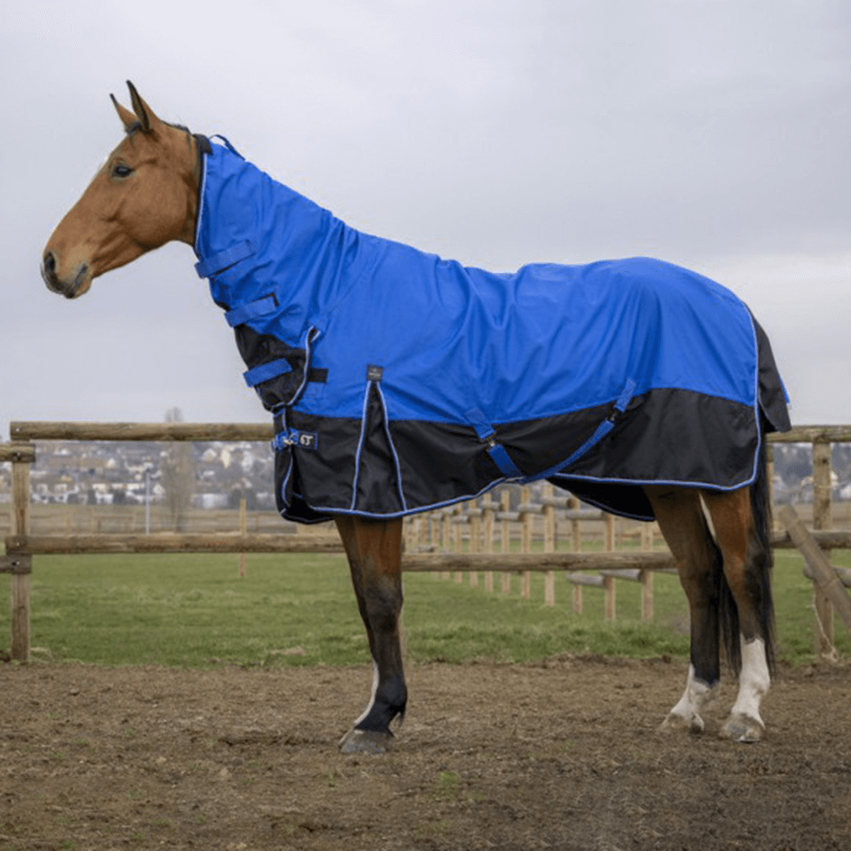 Equithème Tyrex 1200D Aisance Combo Decke 300g | HorSeven