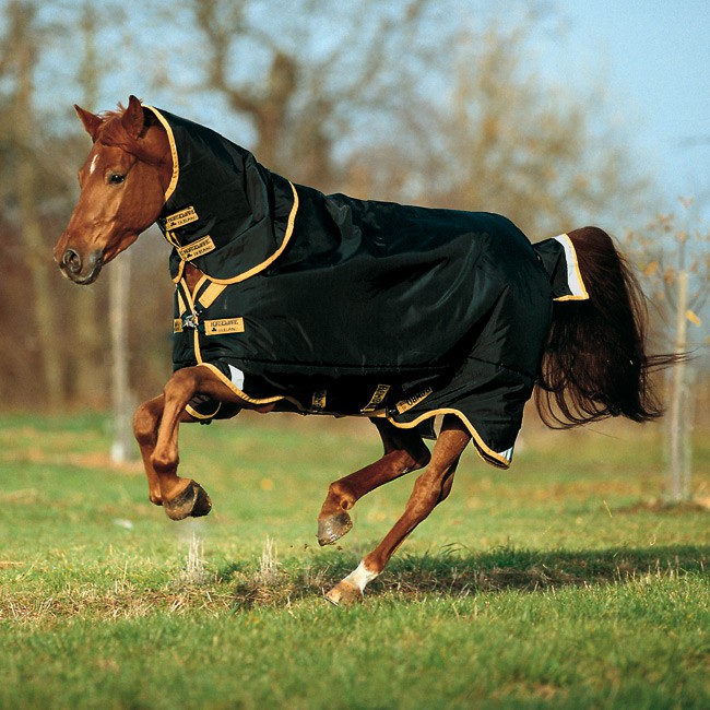 Horseware Rambo Supreme Turnout heavy 420g - black/gold | HorSeven
