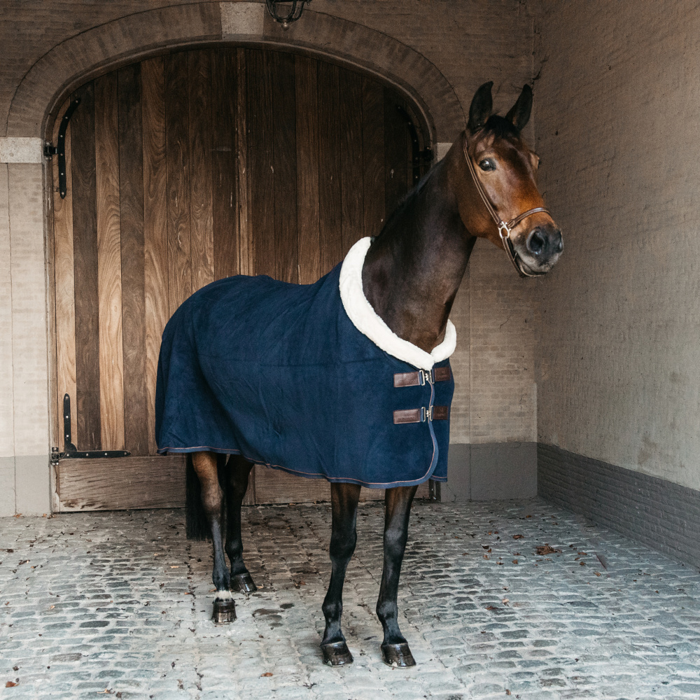 Kentucky Horsewear Fleece Show Rug Heavy | HorSeven