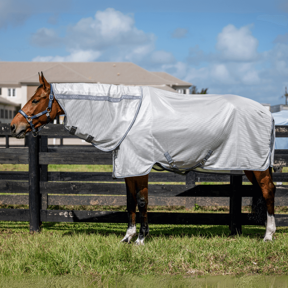 Horseware Amigo Bug Rug Plus | HorSeven