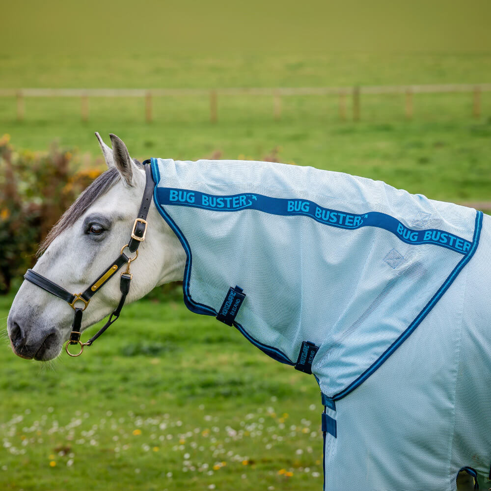 Horseware Amigo Bug Buster Hood | HorSeven