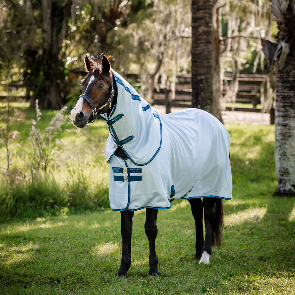 Horseware Amigo Bug Rug XL Plus | HorSeven