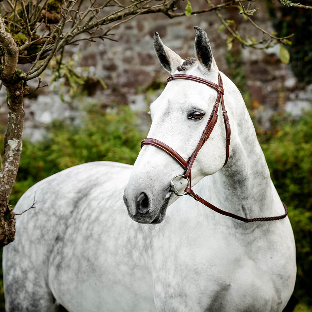 Horseware Hunter Cavesson Bridle w/reins | HorSeven