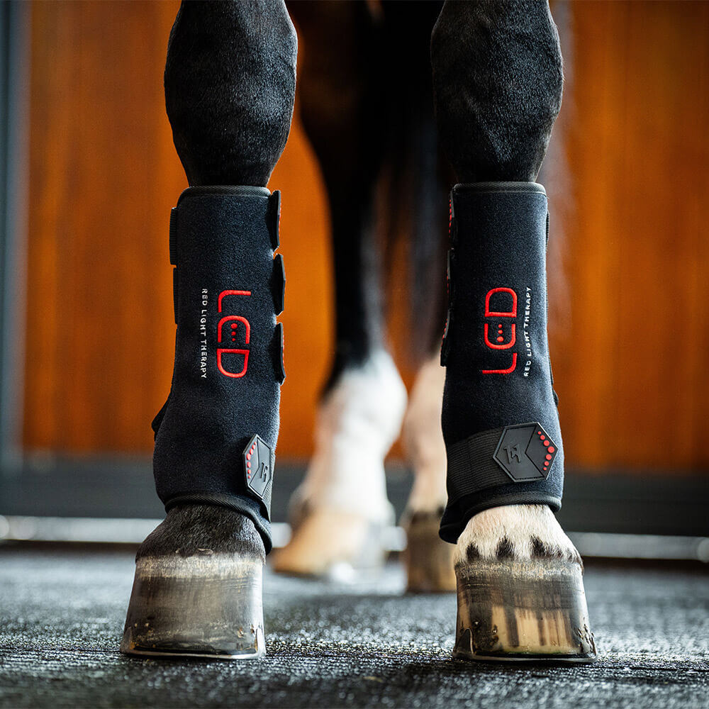 Horseware LED Red Light Therapy Leg Wrap | HorSeven