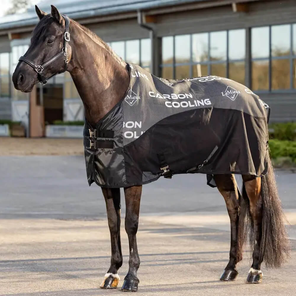 LeMieux Carbon Cooler Rug | HorSeven