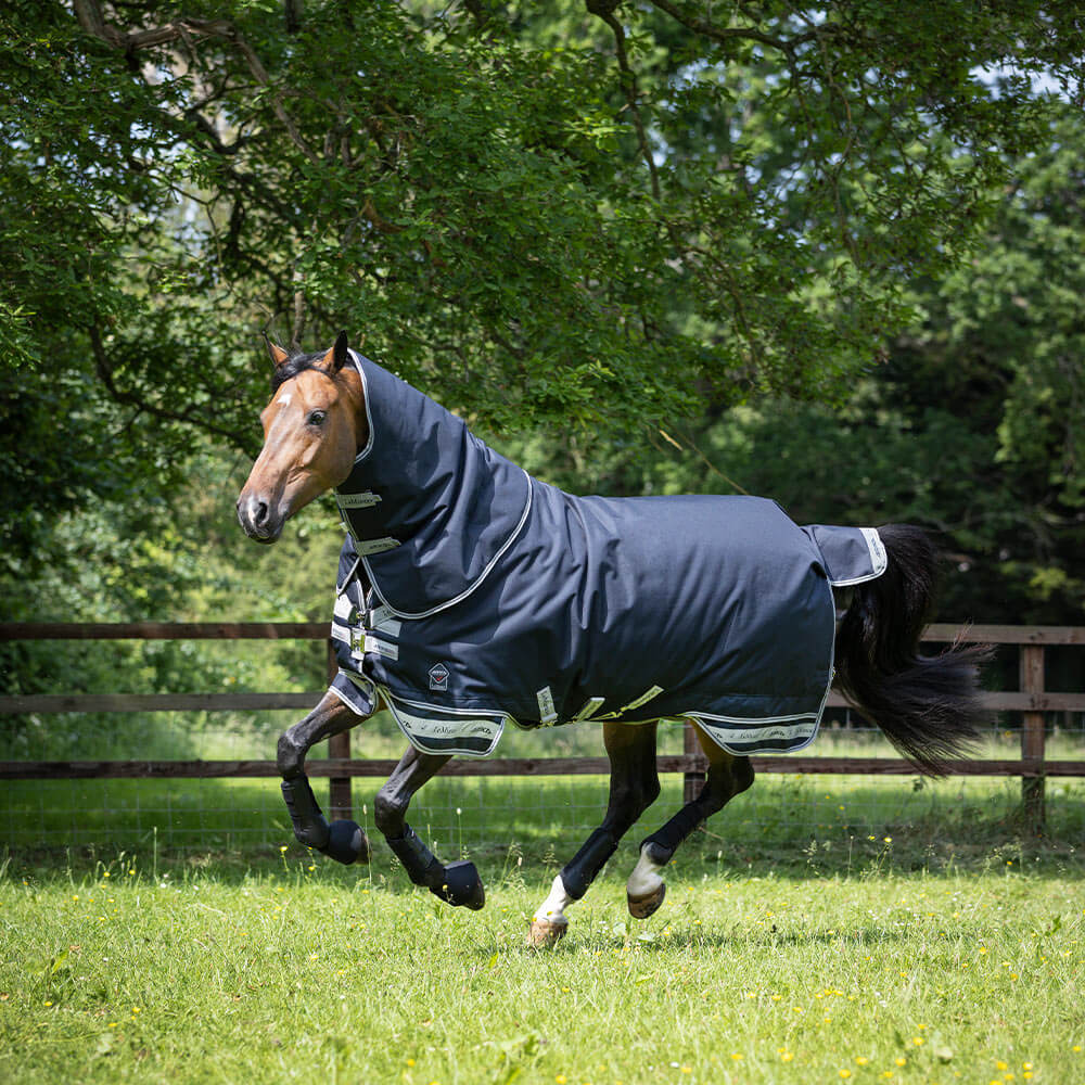LeMieux Arika Storm-Tek Turnout Rug 350g | HorSeven