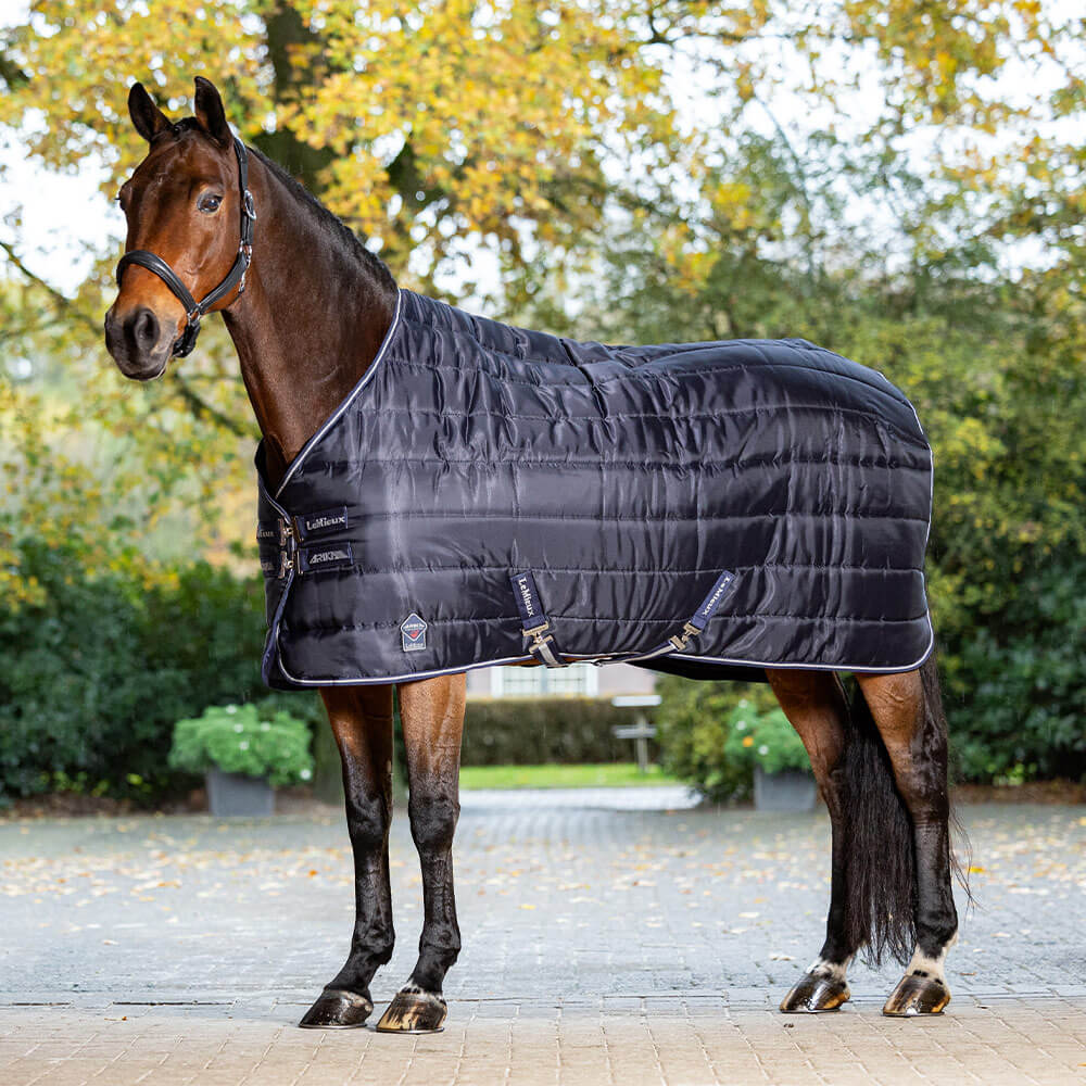 LeMieux Arika Stable-Tek 100g | HorSeven