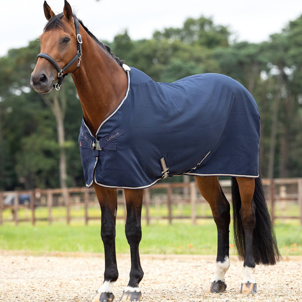 LeMieux Kudos Stable Sheet | HorSeven