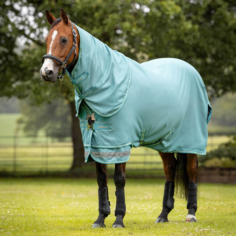 LeMieux Arika Ripstop 0g Turnout Rug | HorSeven