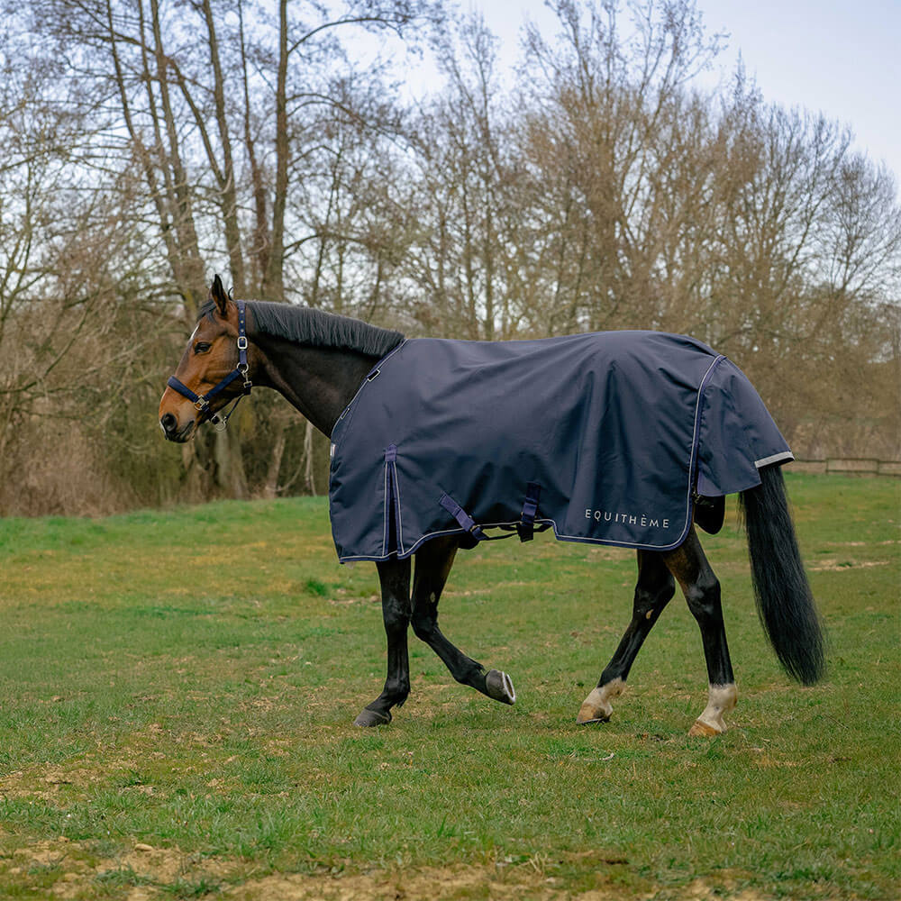 Equithème Anatomic 1200D AI 200G | HorSeven