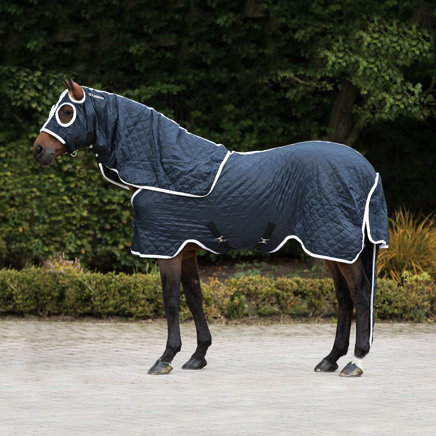 Horseware Rambo Show Set Rug 100g - Navy/White | HorSeven