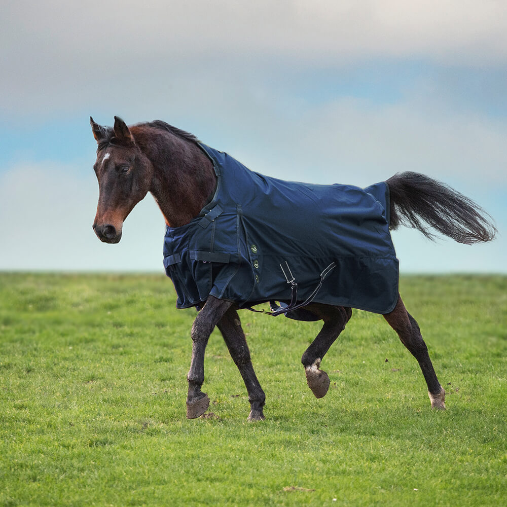 Imperial Riding MOVEITMOVEIT 0g - navy | HorSeven