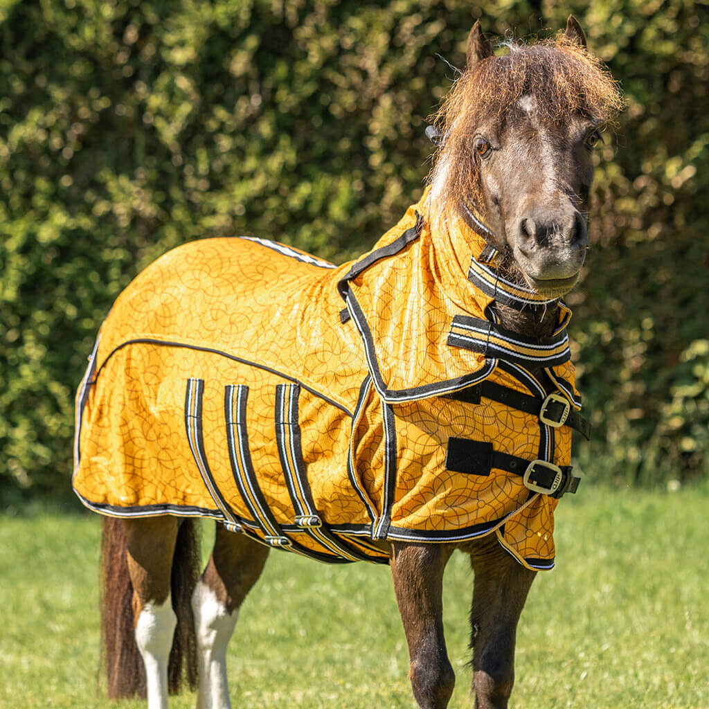 QHP Collection Falabella Fliegendecke | HorSeven